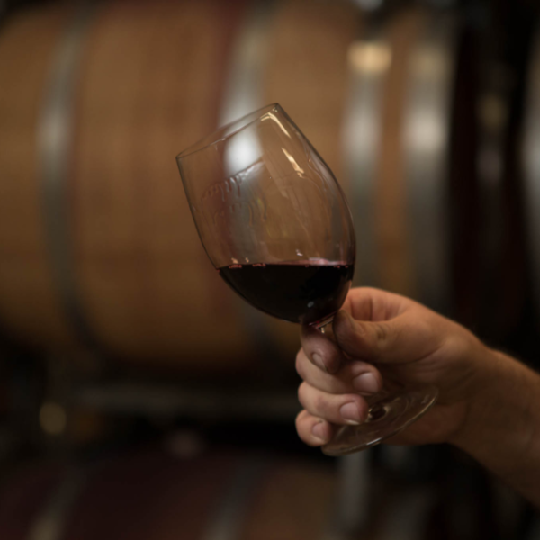 The Winery | Nugan Estate are dedicated to producing premium wines.